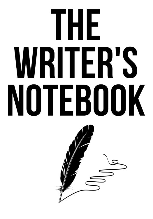 How To Write A Book For Beginners!